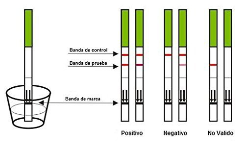 ¿cómo Funcionan Los Test De Ovulación
